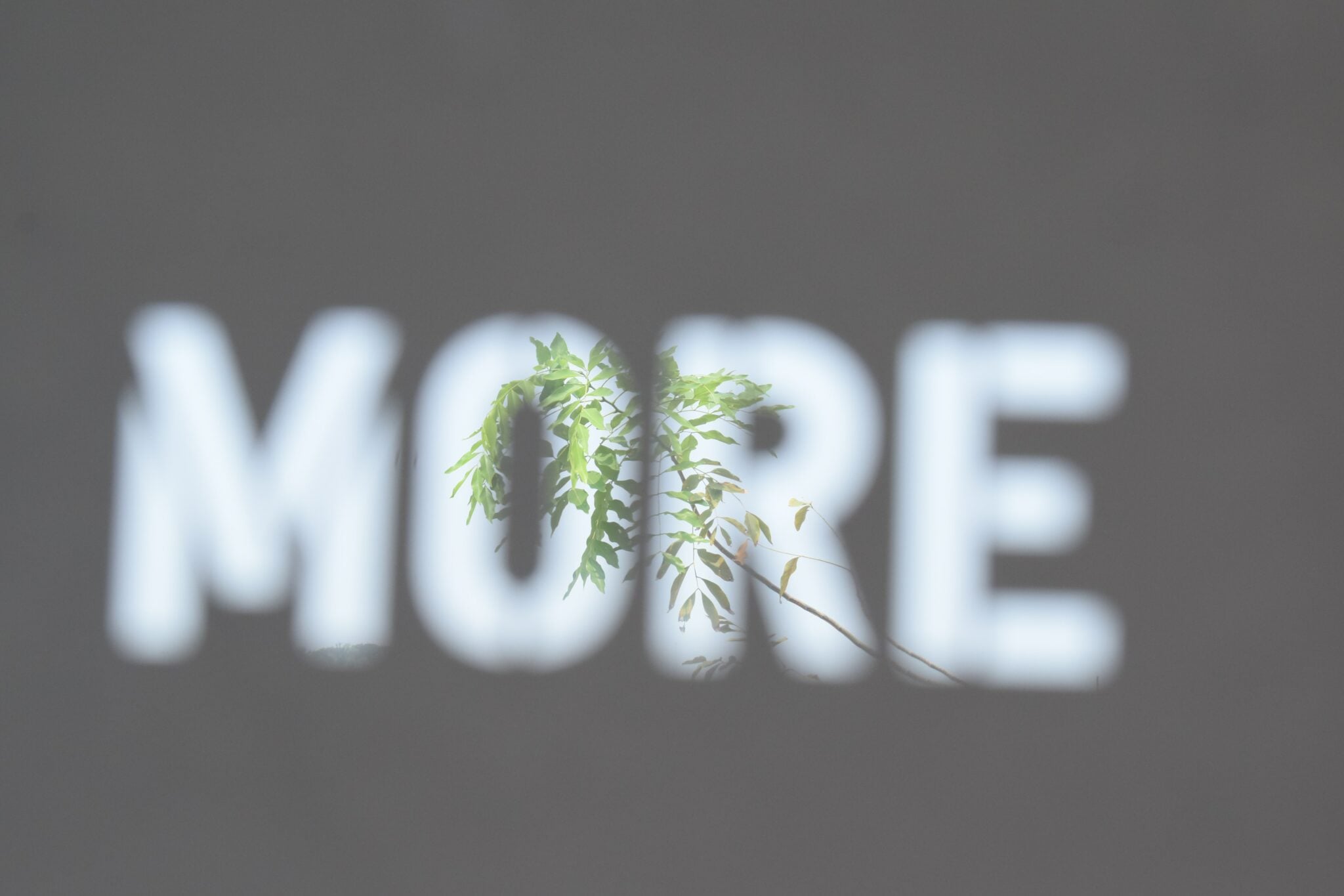 What do I want more of this year? - Jennifer Redmond Knight